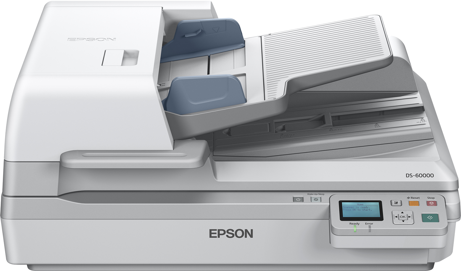 Scanners | Epson United Arab Emirates